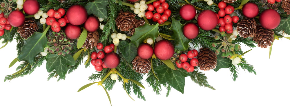 The Holly & the Ivy - Stumpwork (3D Embroidery) - Braintree Community ...